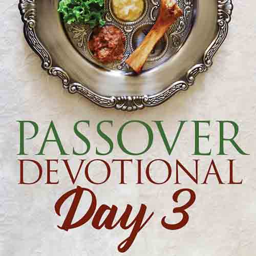 When I See the Blood – Passover Devotional 3 | Jewish Voice