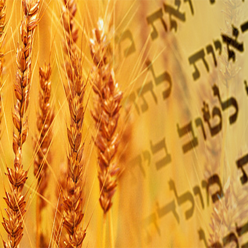 What is “Jewish” about JVMI? | Jewish Voice