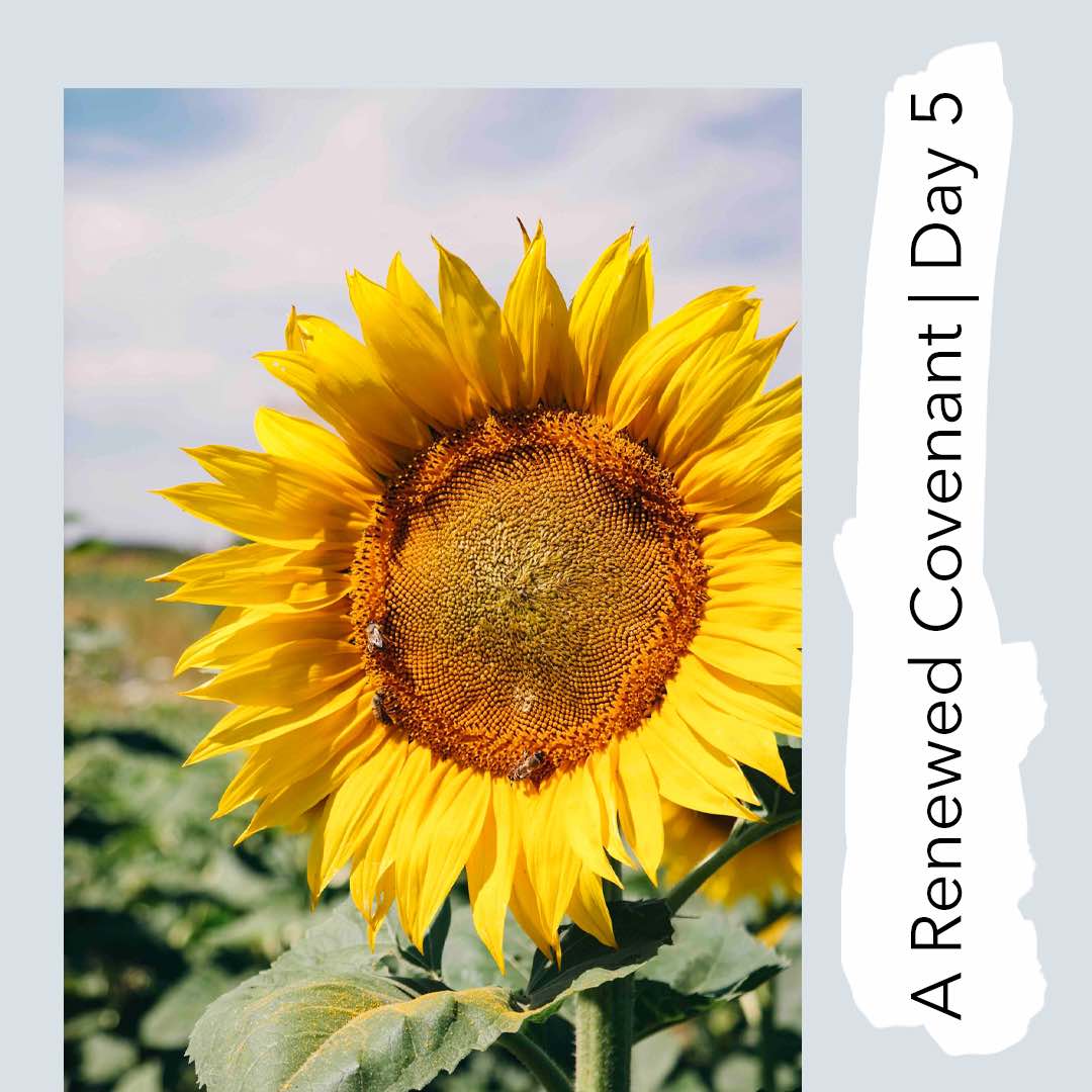 A Renewed Covenant | Day 5 | Jewish Voice