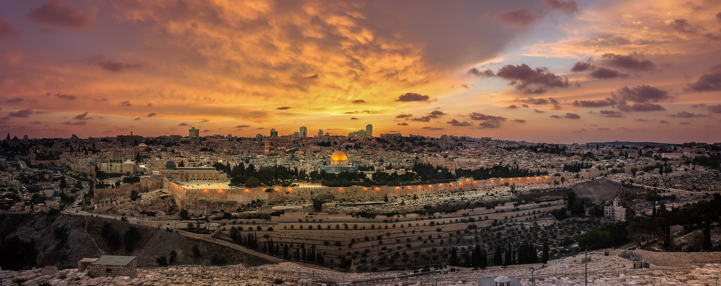 Did God Ever Forsake Israel Flash Sales | emergencydentistry.com