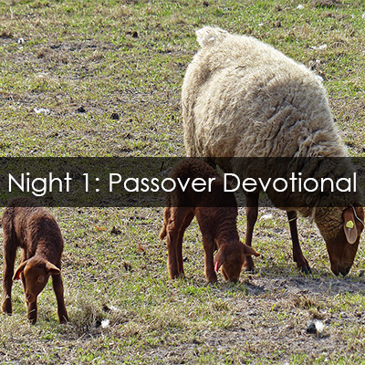 Passover Night 1: Prayer & Devotions | Jewish Voice